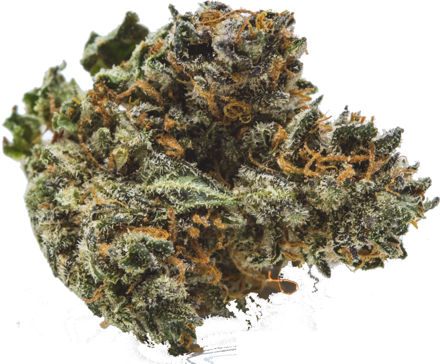 Blue Dream Cannabis Review - Ultimate Guide